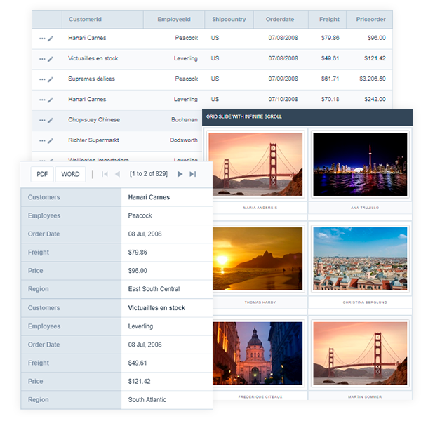 Reports - Features - Scriptcase